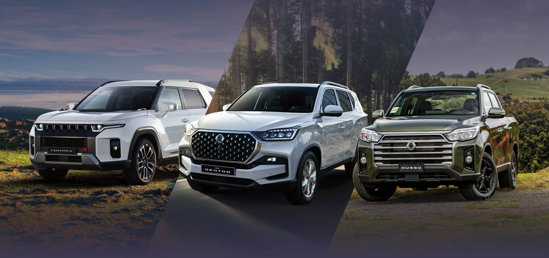 Morrell Motors - Used Cars, finance, WOF, repairs, parts ...